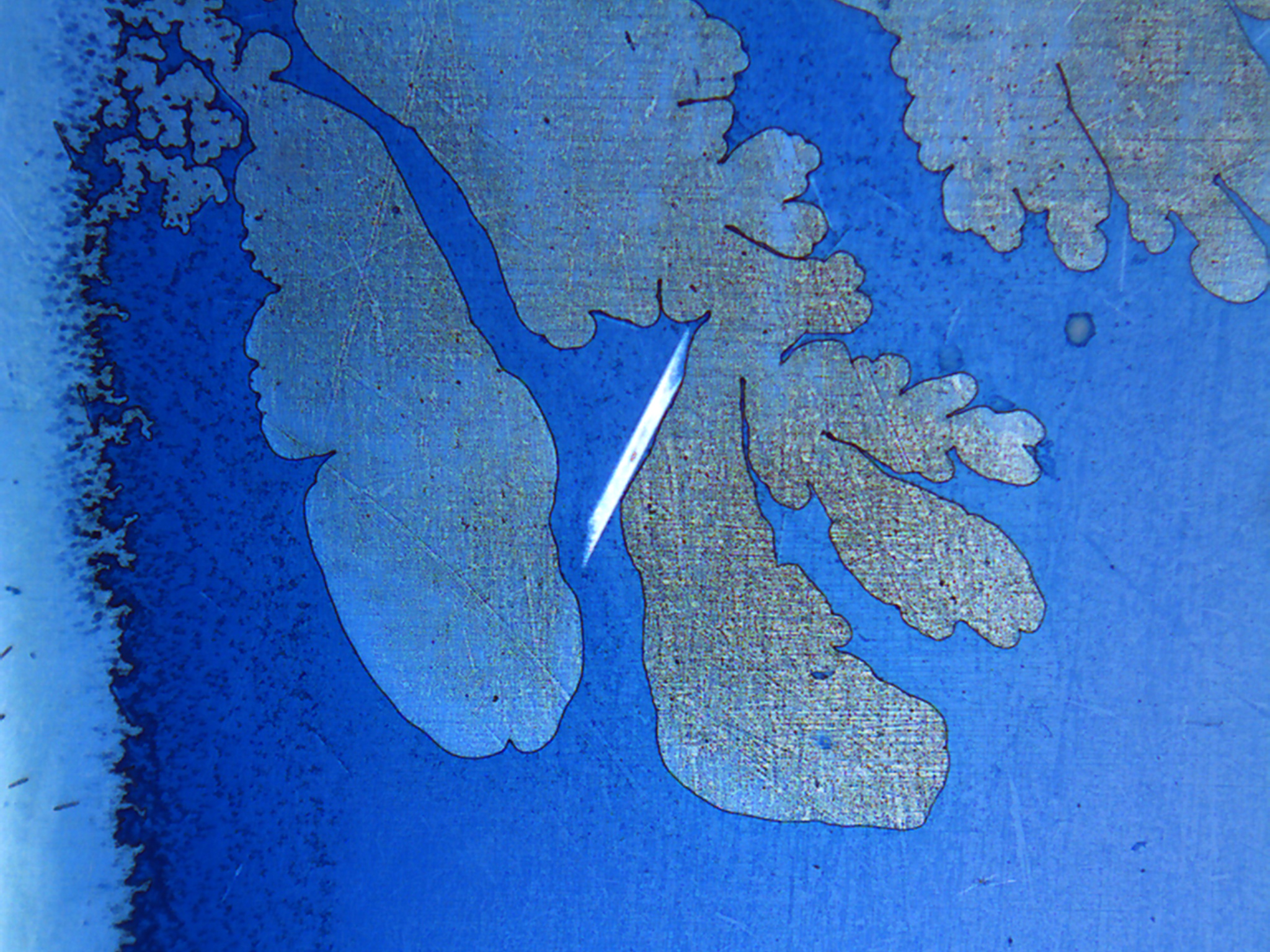 Extra Fine Nib Ink Review: Gutenberg Museum Bible Ink : r/fountainpens