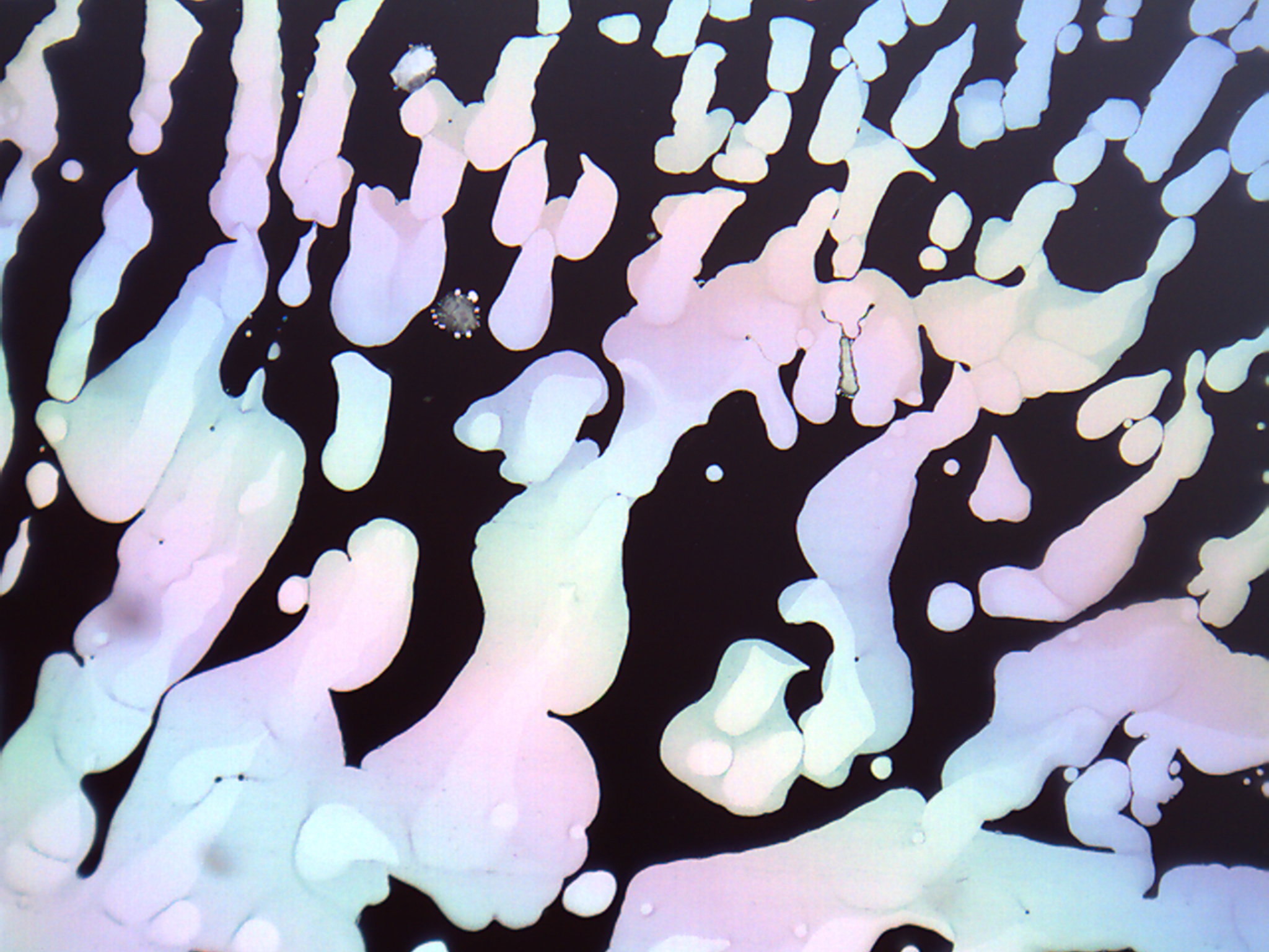 Extra Fine Nib Ink Review: Lamy Black : r/fountainpens