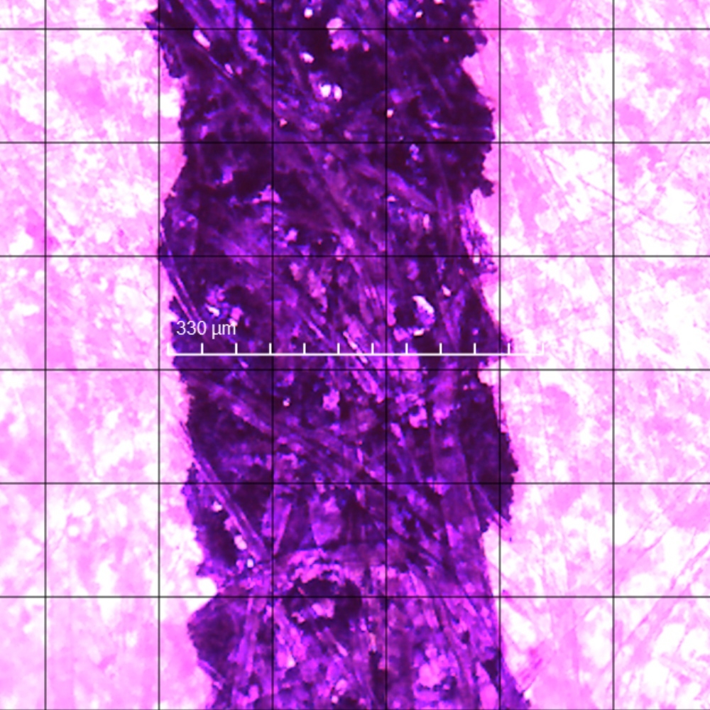 Extra Fine Nib Ink Review: Waterman Tender Purple : r/fountainpens