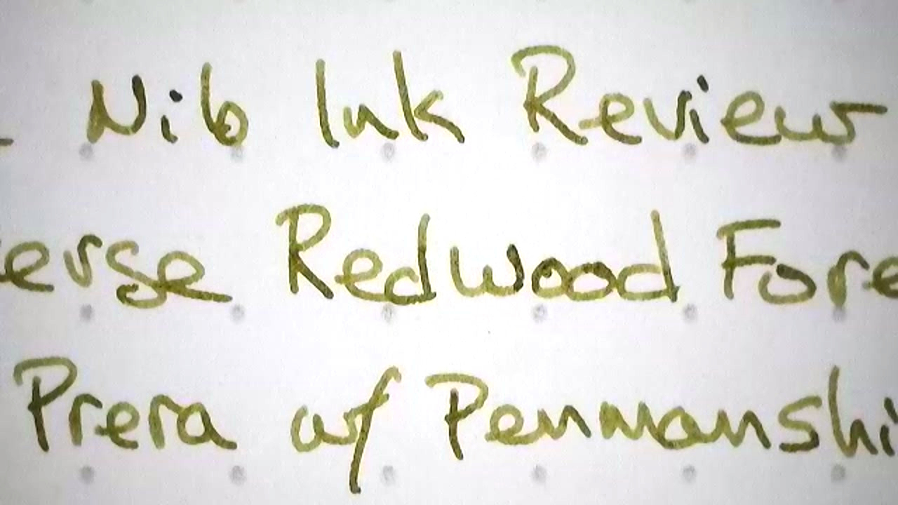 Extra Fine Nib Ink Review: Colorverse Redwood Forest : r/fountainpens