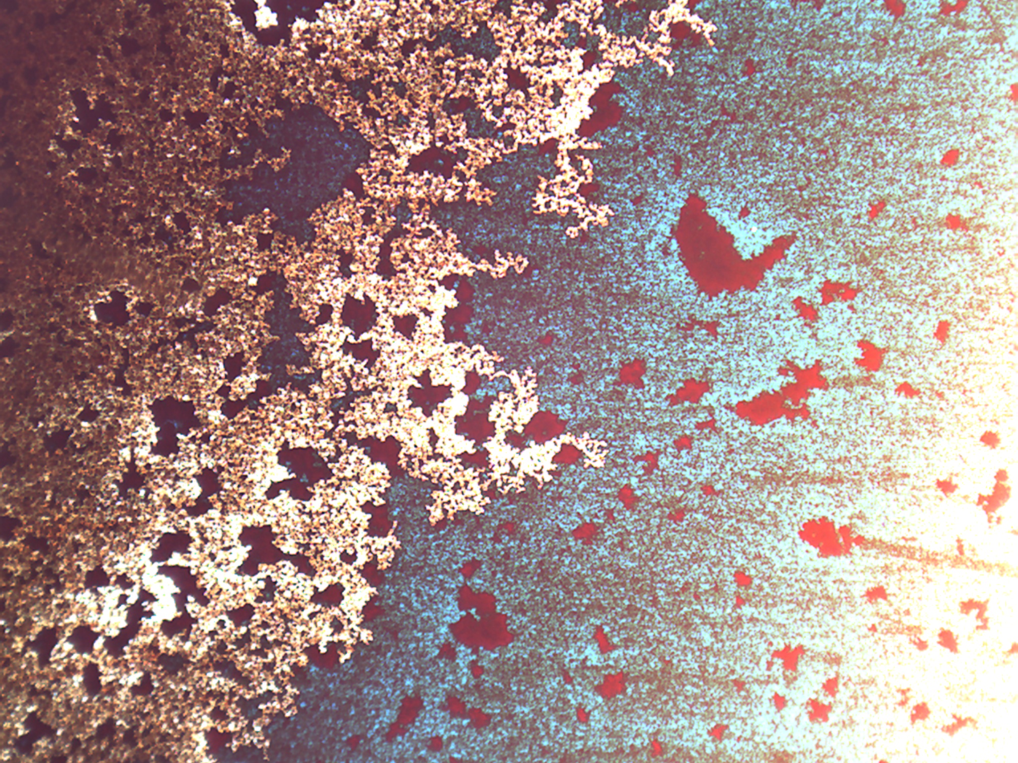 Extra Fine Nib Ink Review: Colorverse Vortex Motion : r/fountainpens