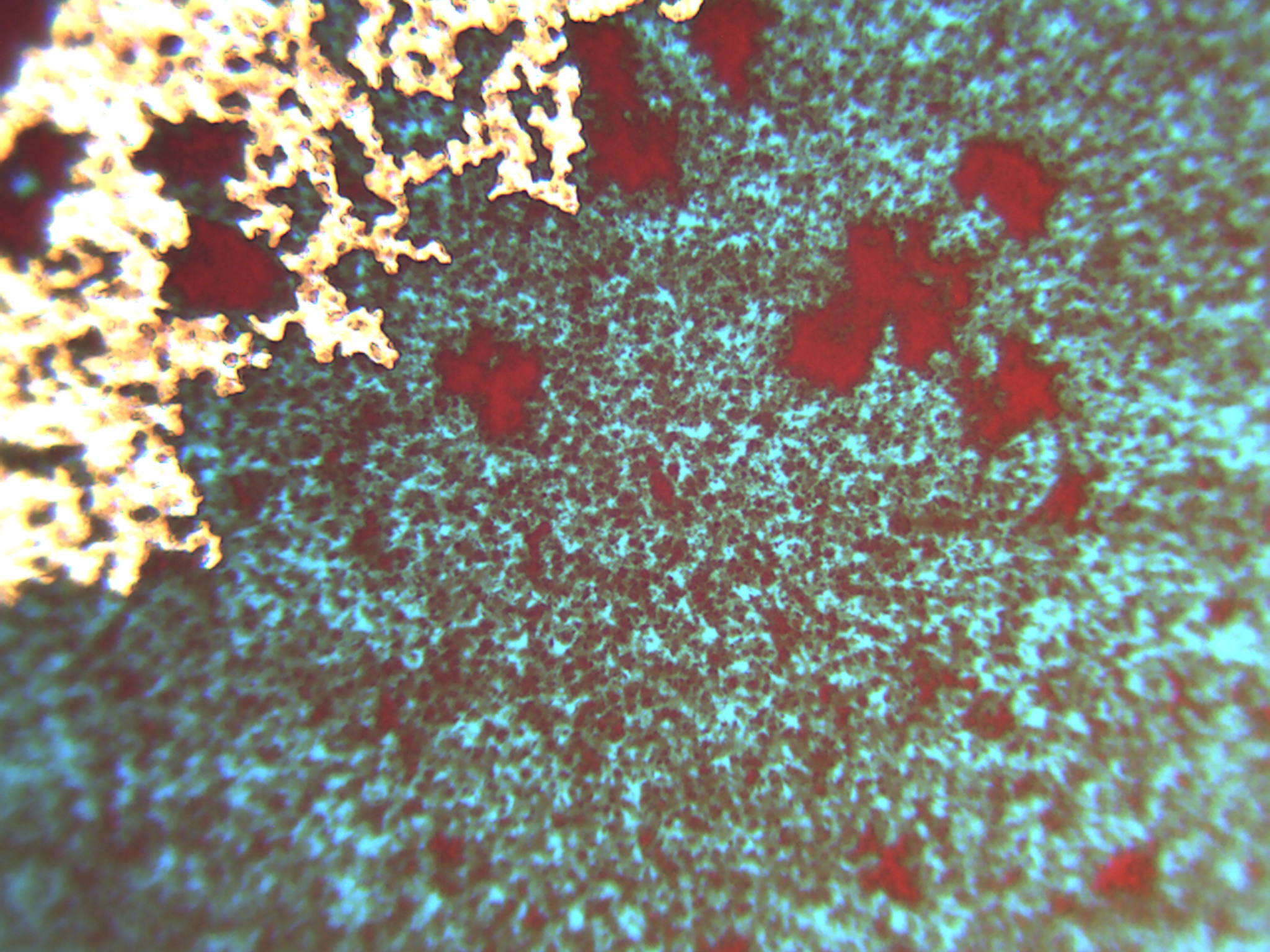 Extra Fine Nib Ink Review: Colorverse Vortex Motion : r/fountainpens