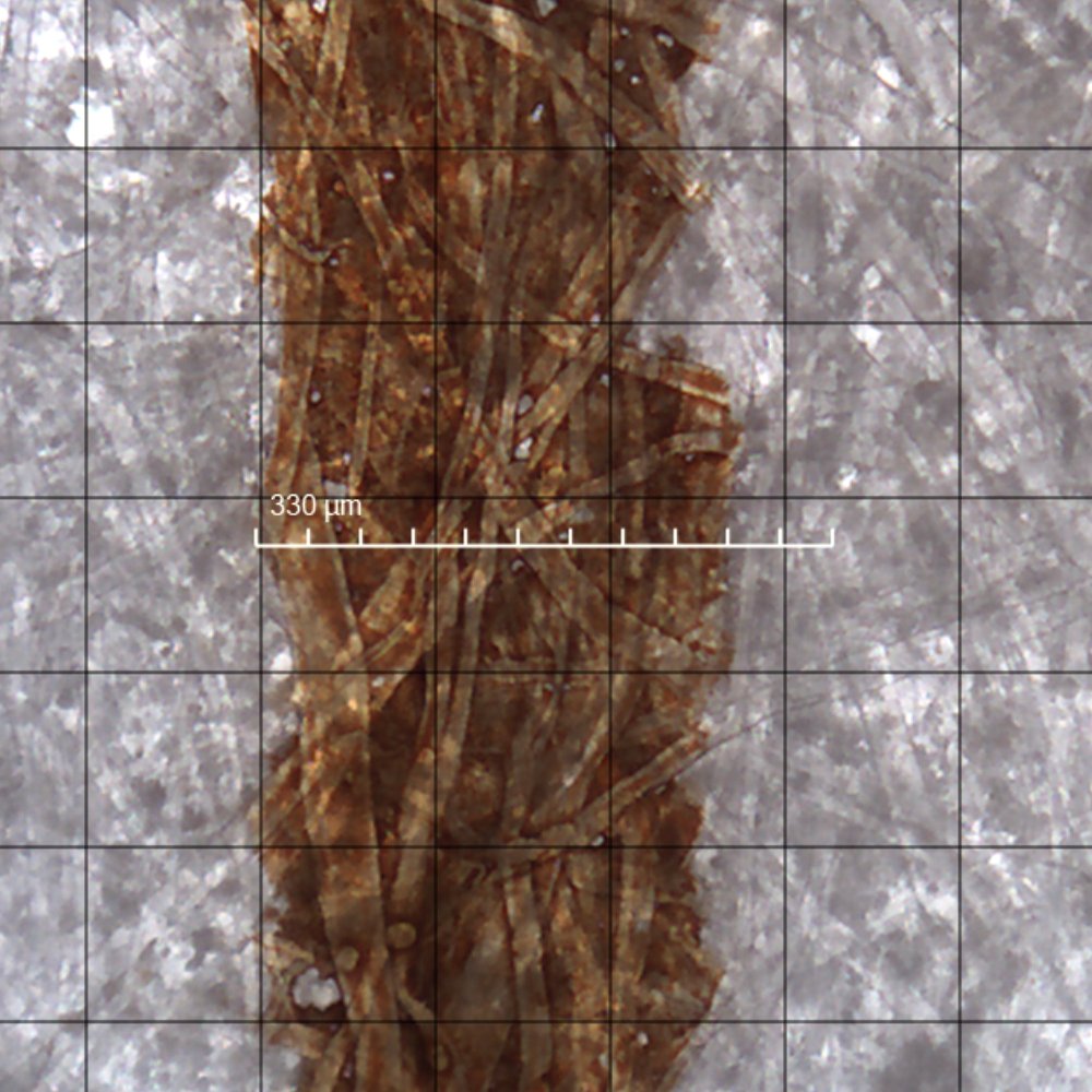 Extra Fine Nib Ink Review: Diamine Sepia : r/fountainpens