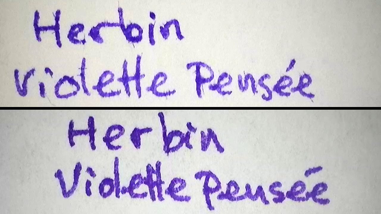 Extra Fine Nib Ink Review: Herbin Violette Pensée : r/fountainpens
