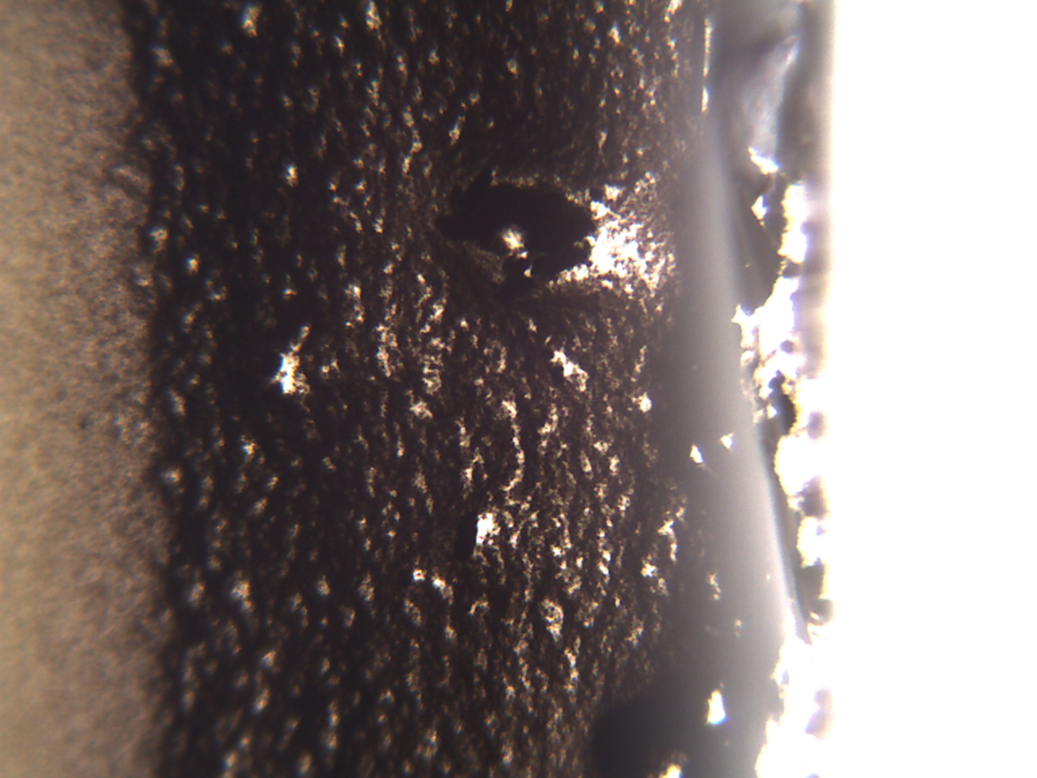 Extra Fine Nib Ink Review: Noodler's Black : r/fountainpens