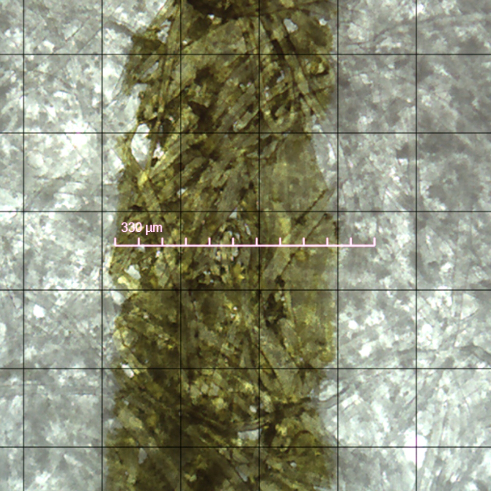 Extra Fine Nib Ink Review: Pennonia Zöldike (Greenfinch) : r/fountainpens