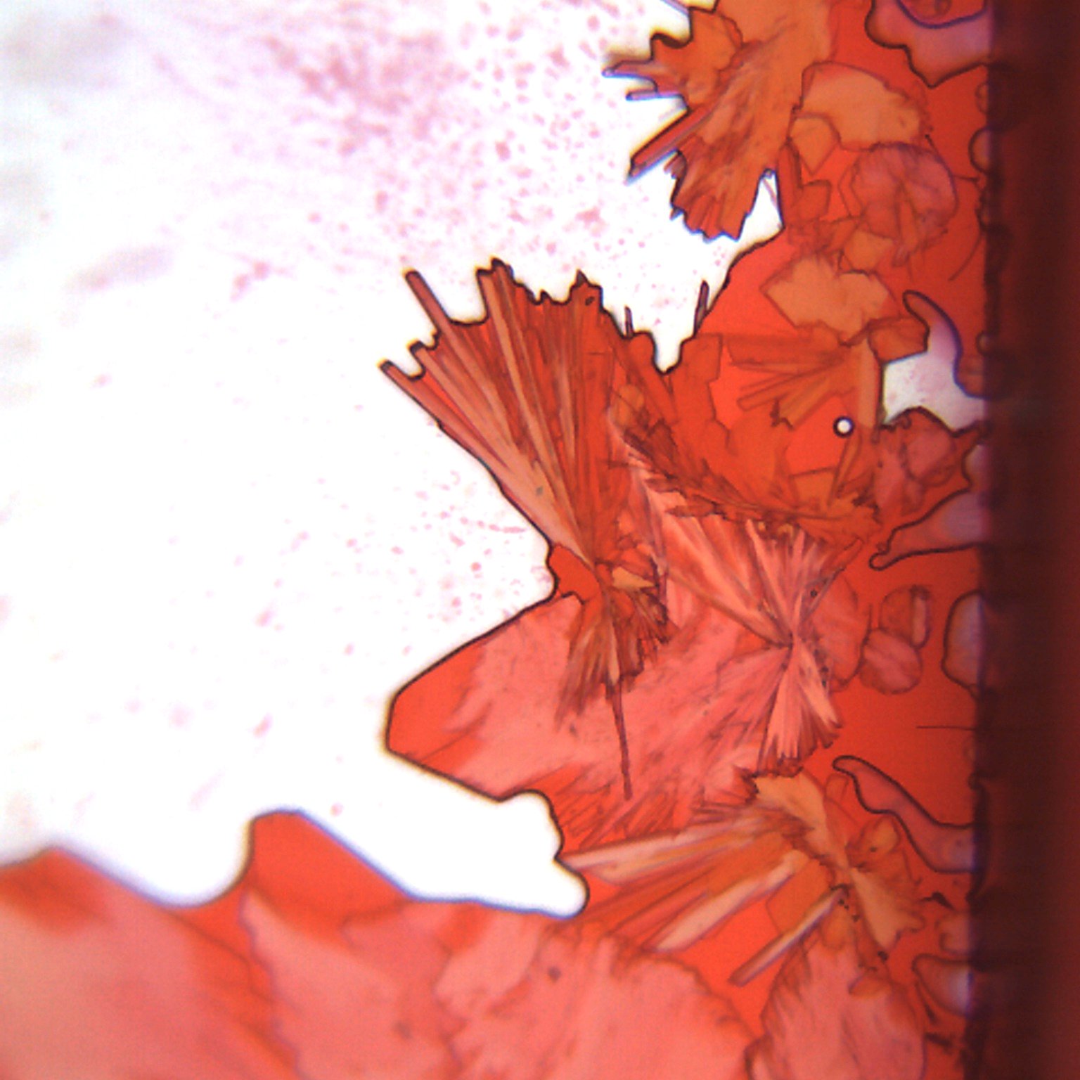 Extra Fine Nib Ink Review: Platinum Red : r/fountainpens